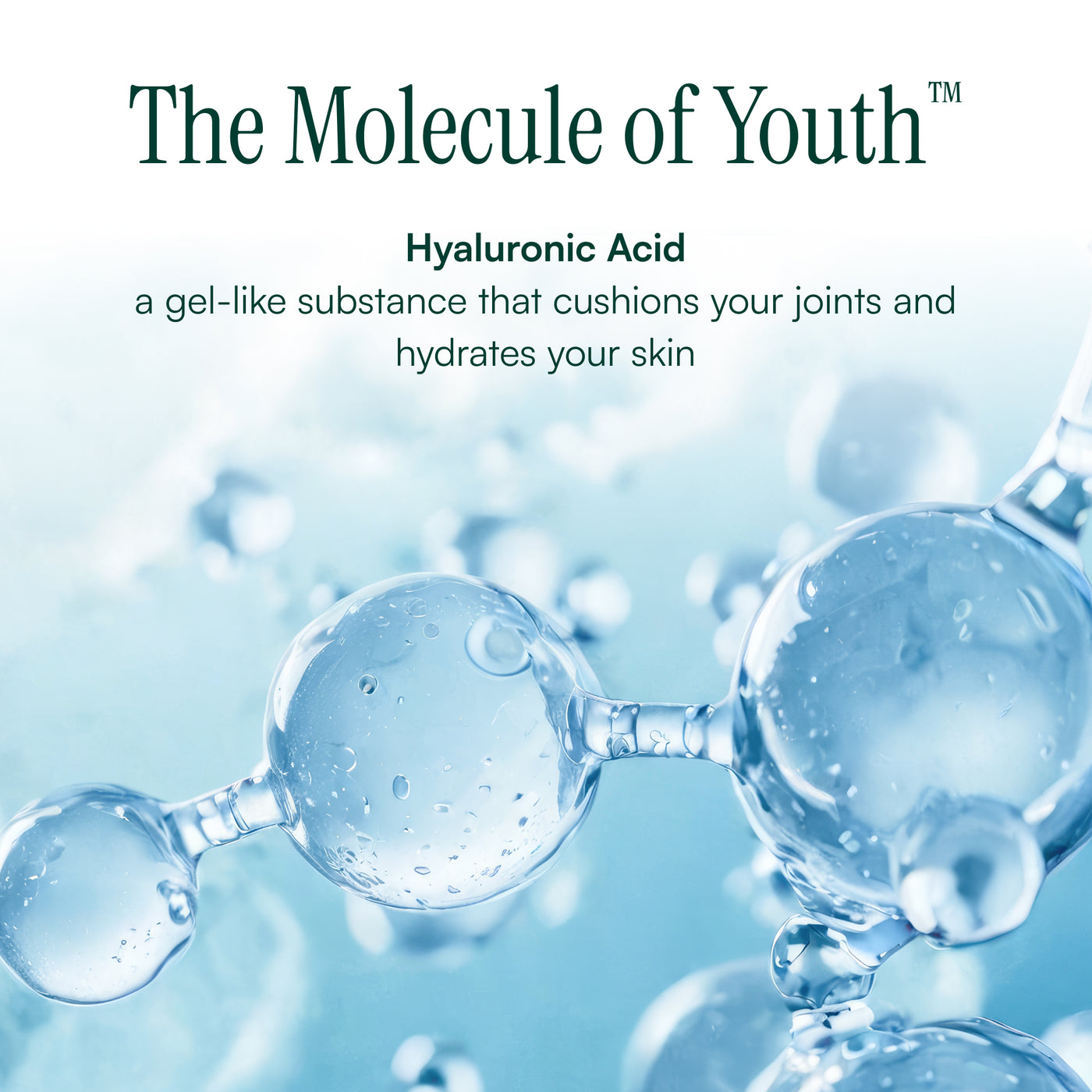 H.A. Joint™ Formula – Purity Products