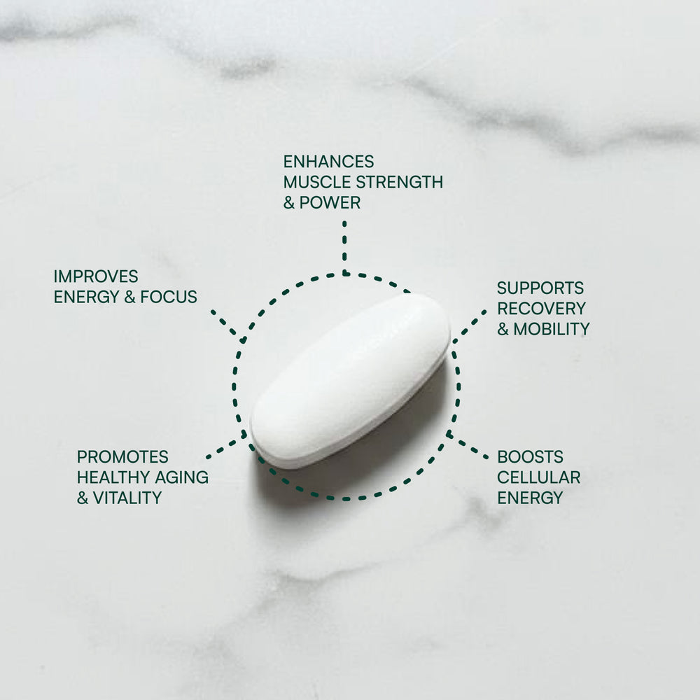 EverStrong® Creatine Tablets – Purity Products
