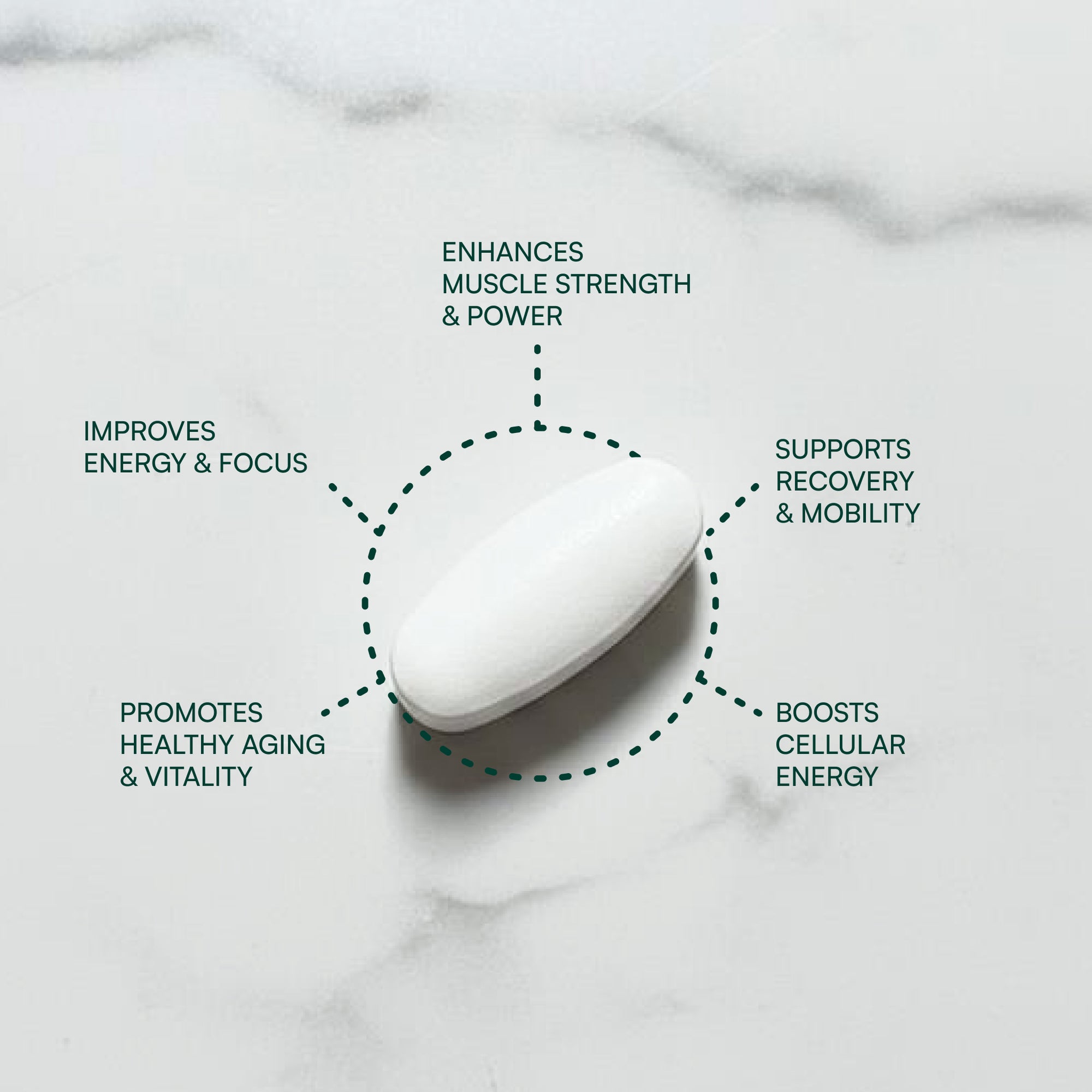 EverStrong® Creatine Tablets – Purity Products