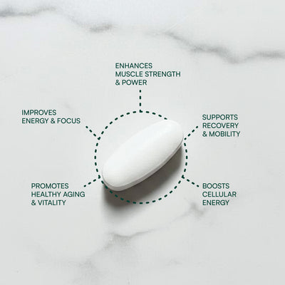 EverStrong® Creatine Tablets – Purity Products