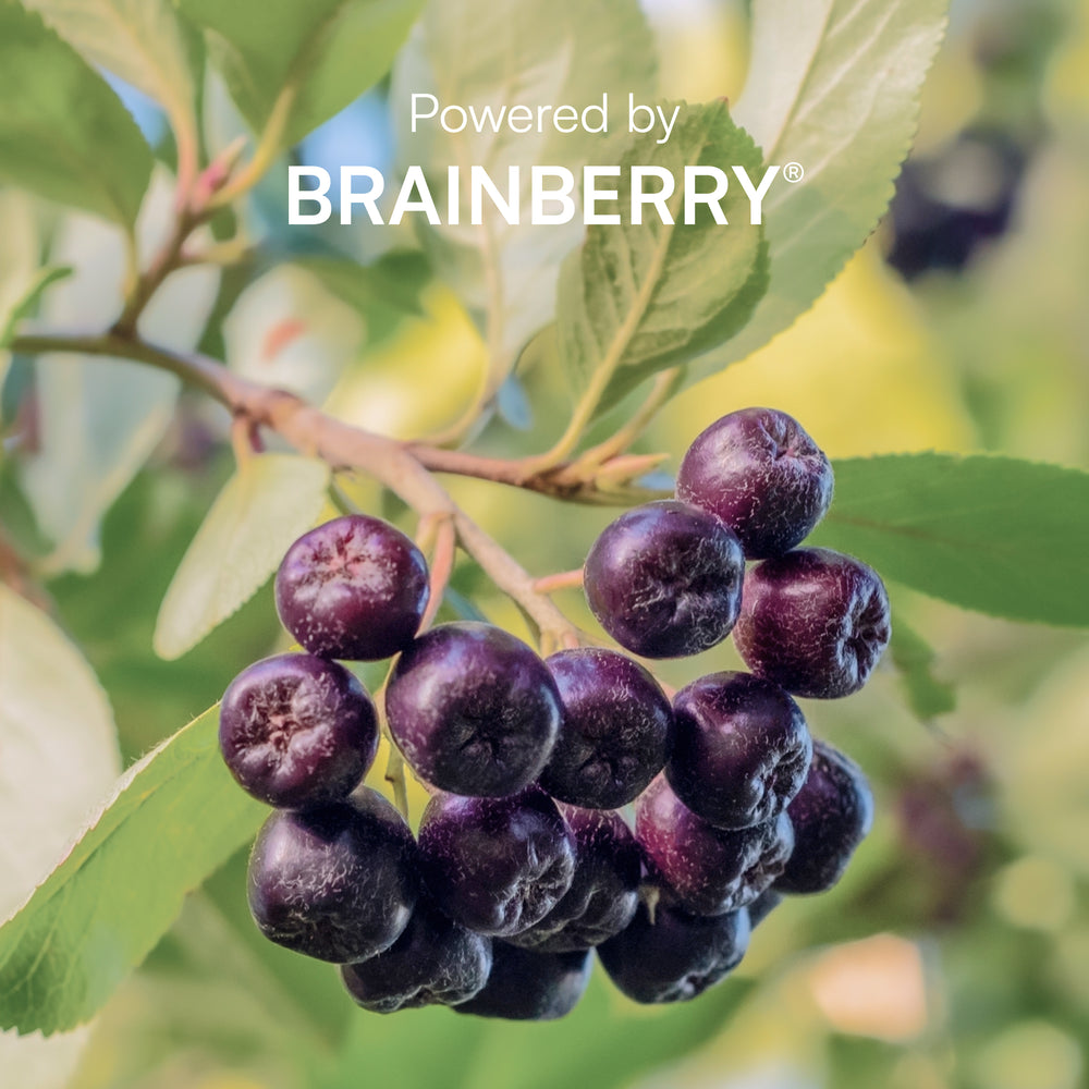 Perfect Purples™ | Daily Superfood Drink | Boosts Vitality, Energy ...