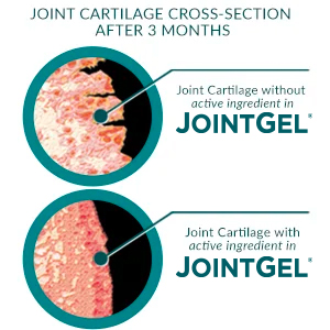 Purity Products - JointGel Reasons - Chocolate