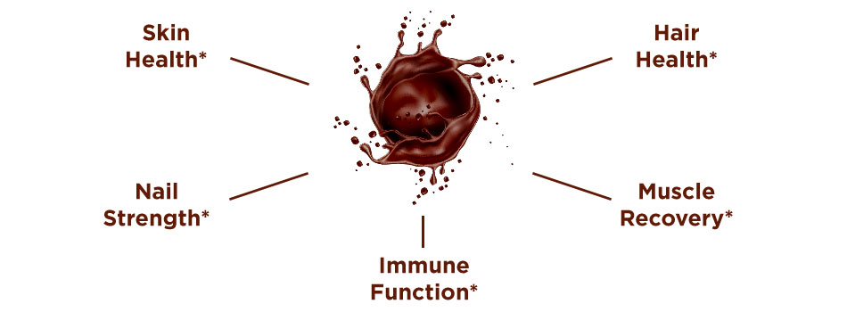 JointGel featuring Fortigel - Chocolate | Purity Products