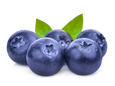 MagBlue | Elite Magnesium and PurityBlue™ Wild Blueberries