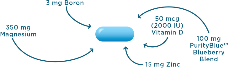 MagBlue | Elite Magnesium and PurityBlue™ Wild Blueberries