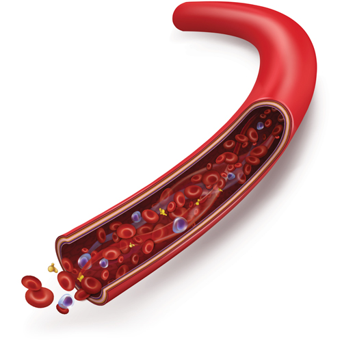 Perfect Multi Super Cardio | Purity Products