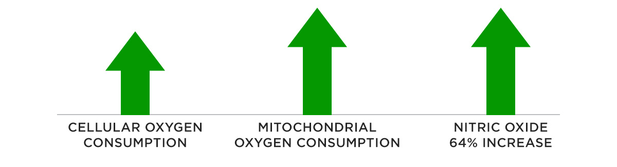 Perfect Multi Super Cardio | Purity Products