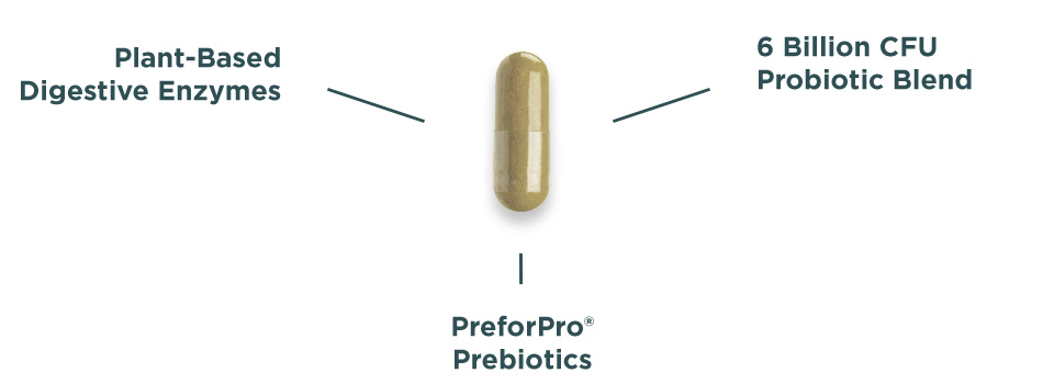 Purity's Ultimate Enzyme Formula | Purity Products