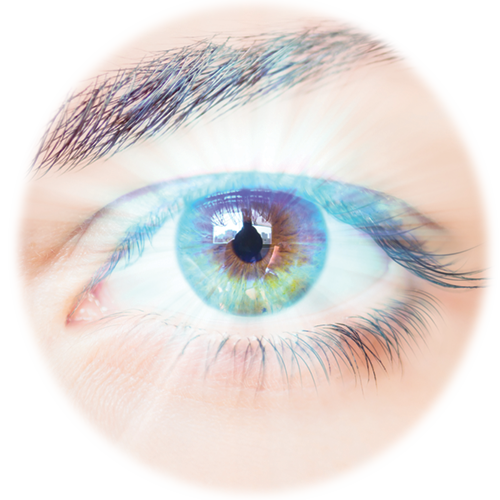 Ultimate Eye™ Formula | Purity Products