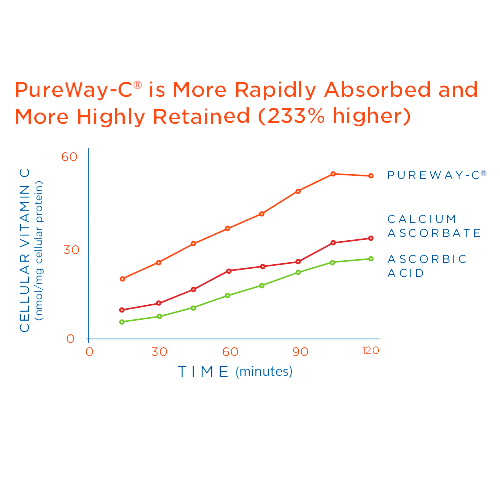 Vital Immunity Elderberry Super Formula| Purity Products